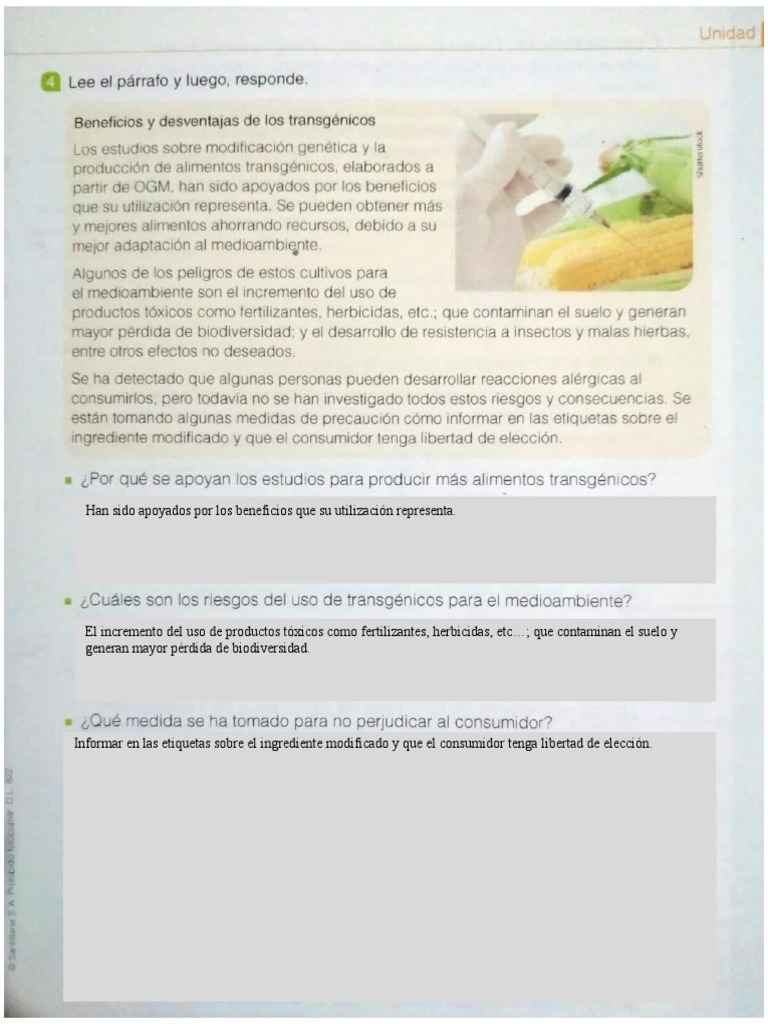 Alimentos Transgénicos Actividad | PDF | Tecnología