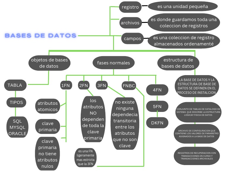 Mapa Conceptual Base de Datos | PDF | Bases de datos | Gestión de tecnología de la información
