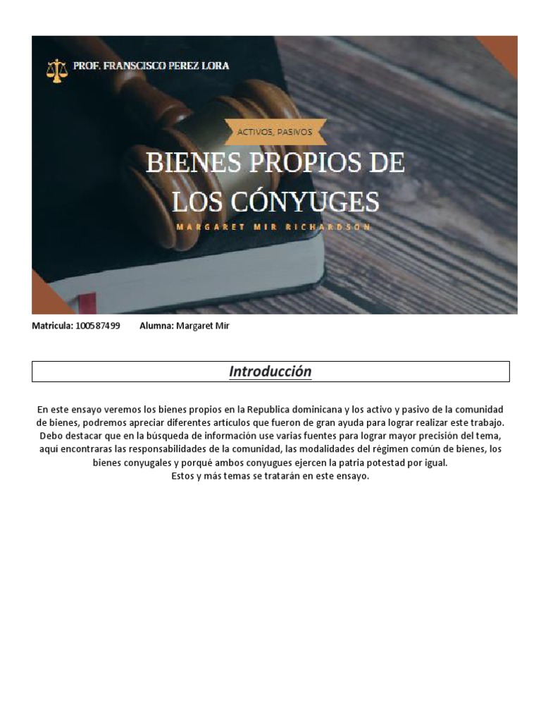 Bienes | PDF | Matrimonio | Esposa