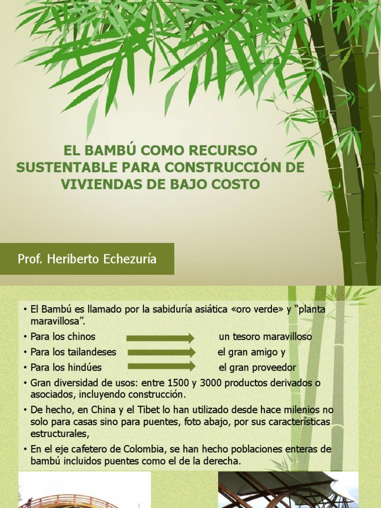 El Bambú Como Recurso Sustentable para Construcción de Viviendas de ...