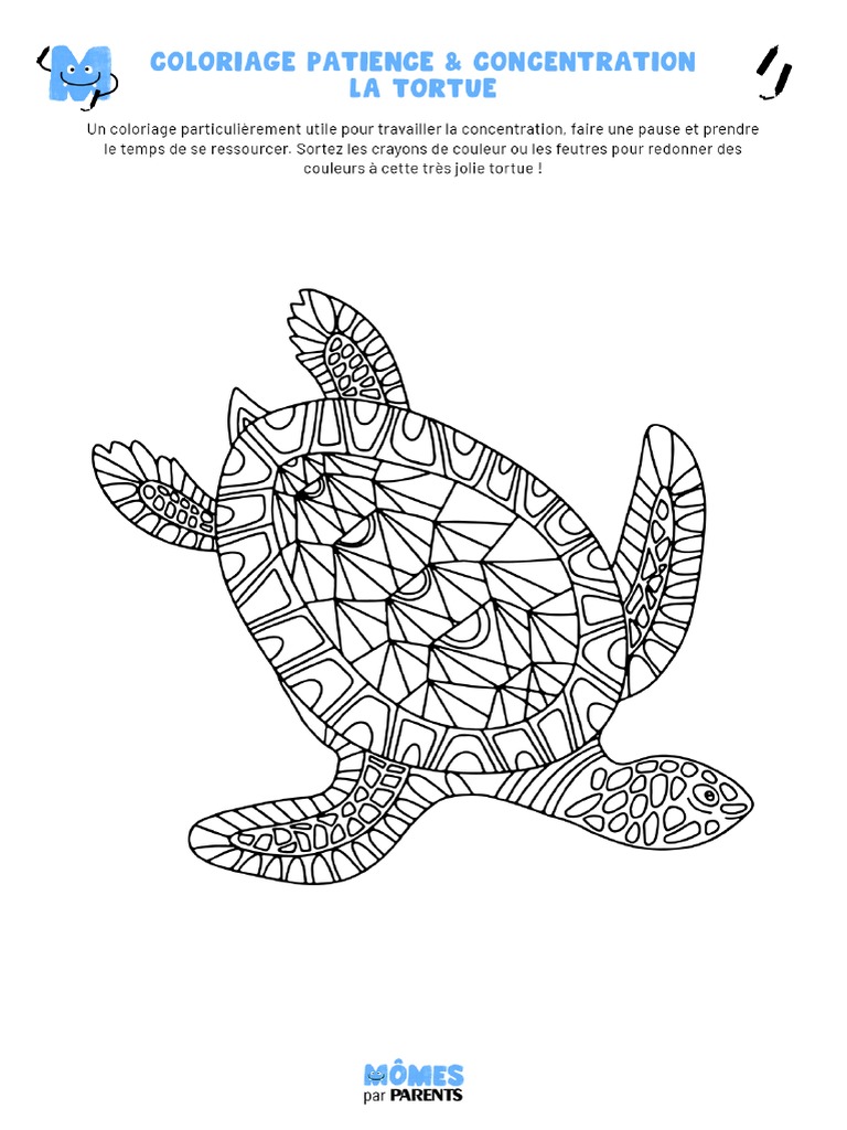 Coloriage Concentration Tortue Copie | PDF