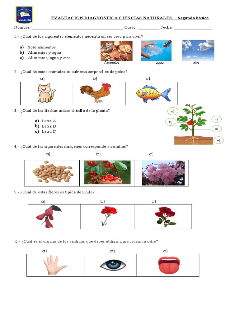 Evaluación Diagnóstica Ciencias Naturales 2º | PDF