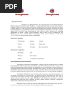Appendix 1 - CIMB Group Organisation Structure PDF | PDF | Corporate ...