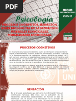 Gestacion en Animales | PDF | Ultrasonido médico | El embarazo