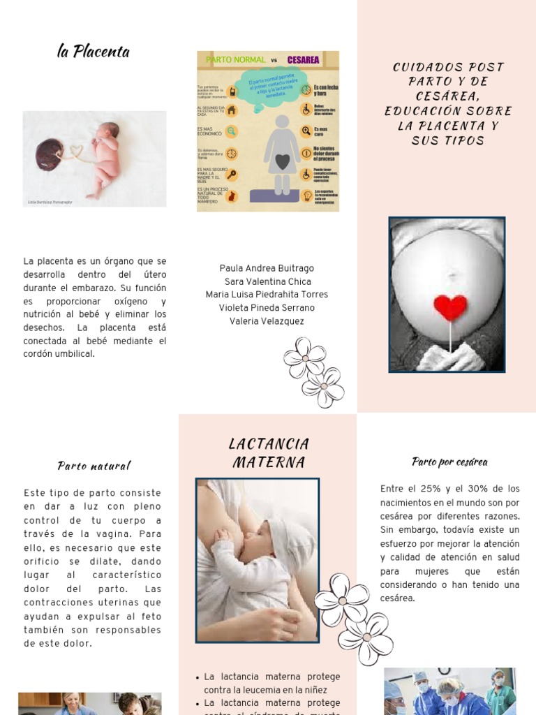 Cuidados Post Parto y de Cesárea, Educación Sobre La Placenta y Sus ...