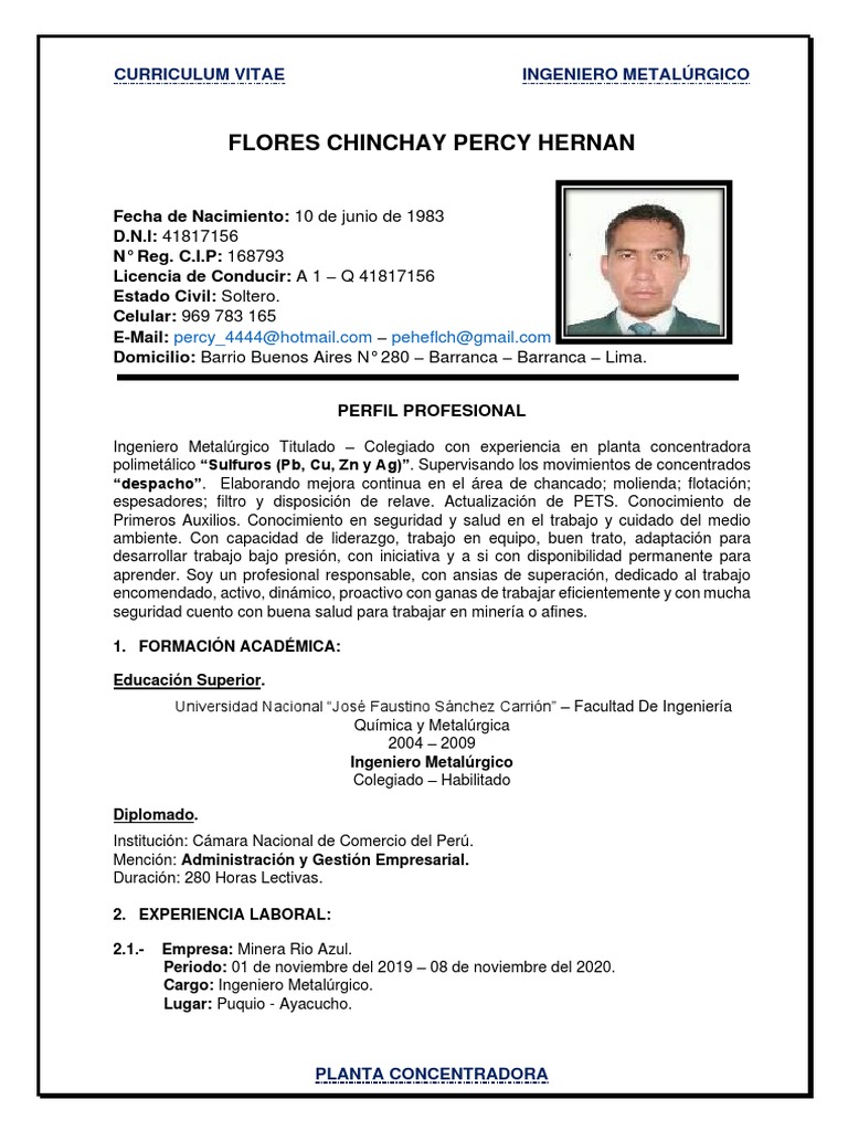 CV Jefe de Planta Ing - Percy Flores | PDF | Minería | Metalurgia