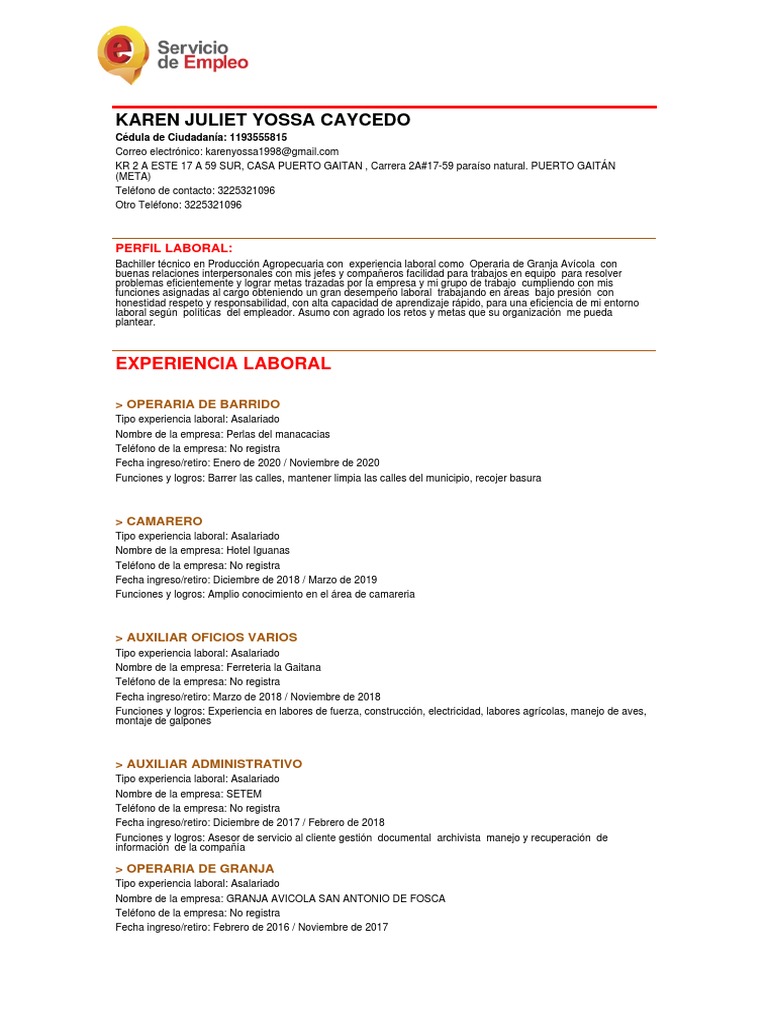 Perfil Laboral de Karen Yossa Caycedo | PDF | Negocios
