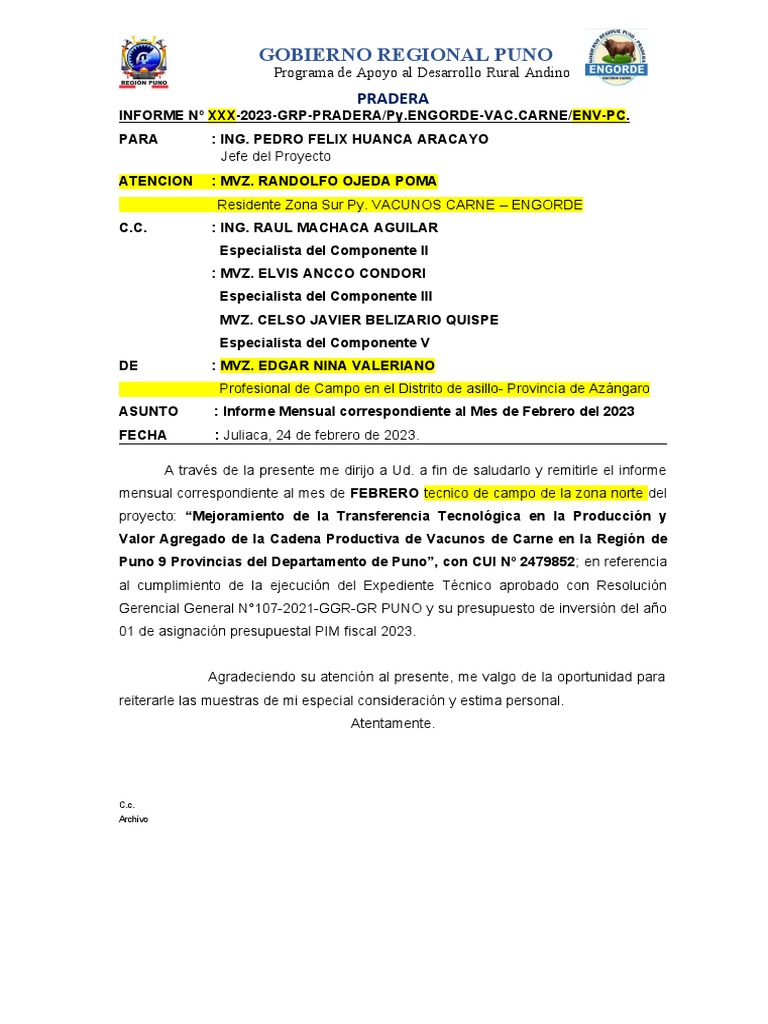 MODELO DE INFORME ENERO 2023 (1) Mirian Aguirre 2023 | PDF