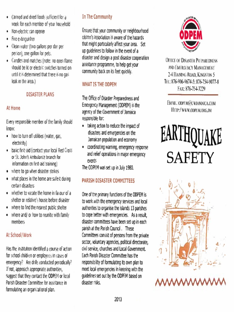 Earthquake Brochure | PDF