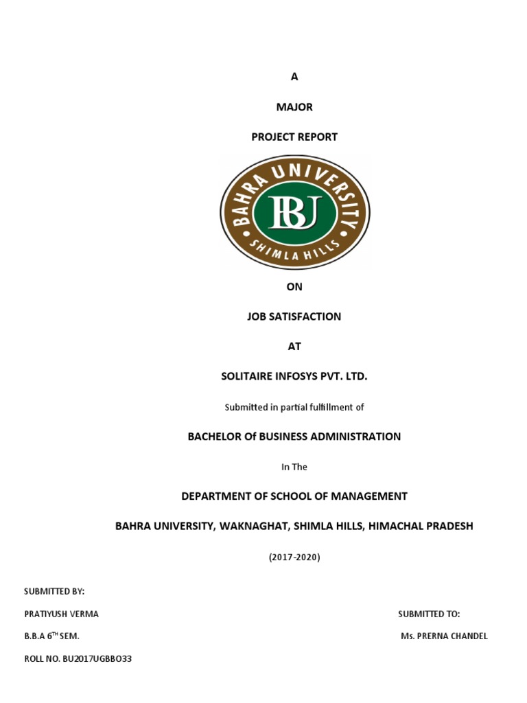Project Report Solitaire Infosys | PDF | Job Satisfaction | Methodology