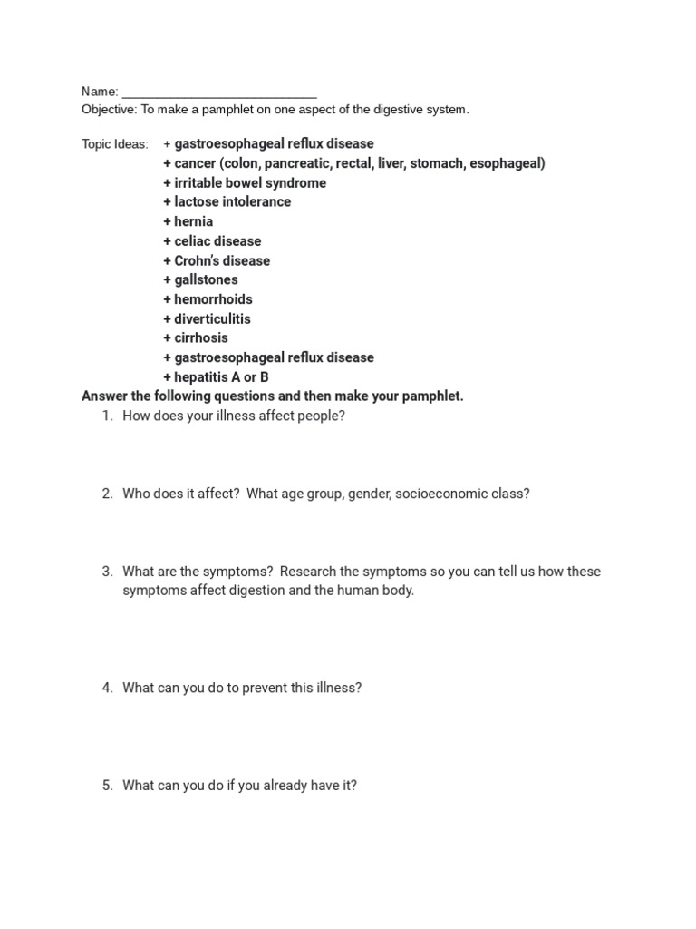Digestive System Pamphlet | PDF