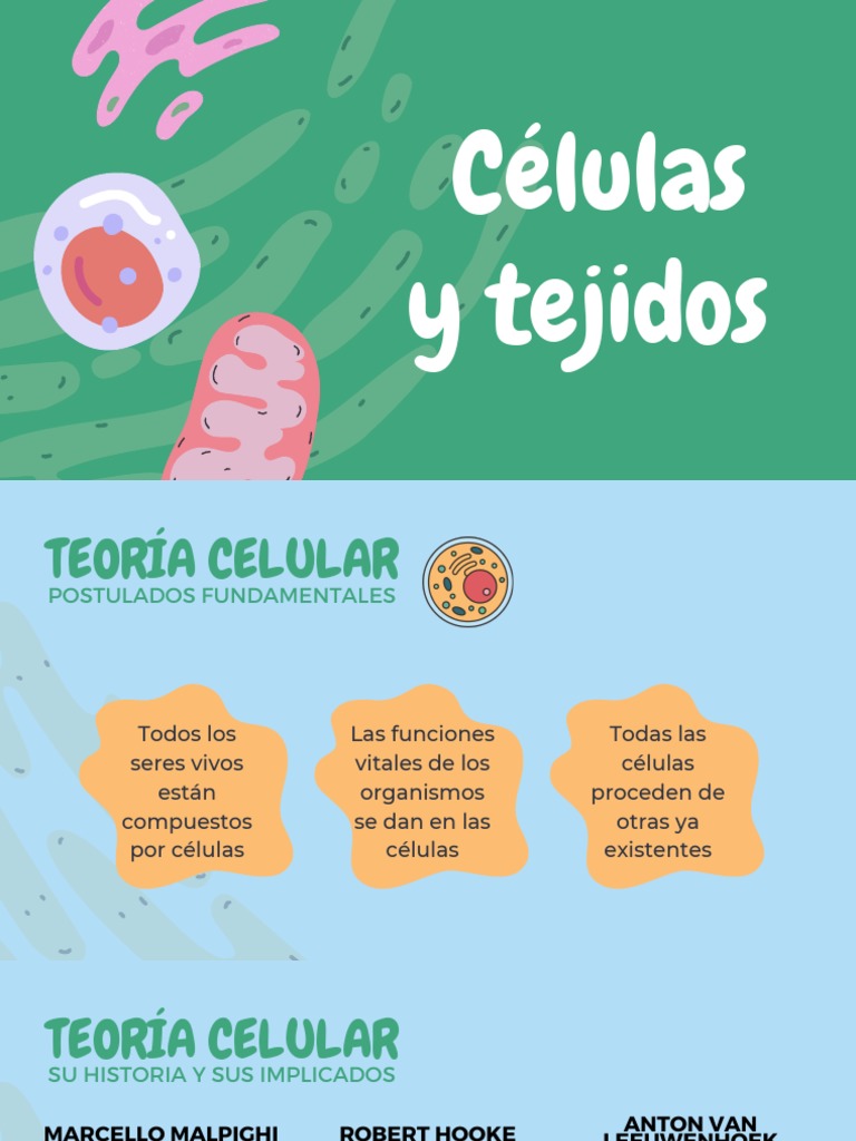 Célula y Tejidos | PDF | Biología Celular) | Eucariotas