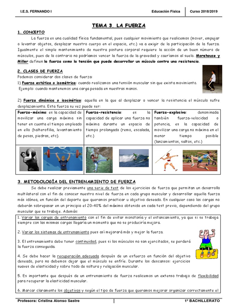 Tema 3 Fuerza | PDF | Entrenamiento de fuerza | Fuerza