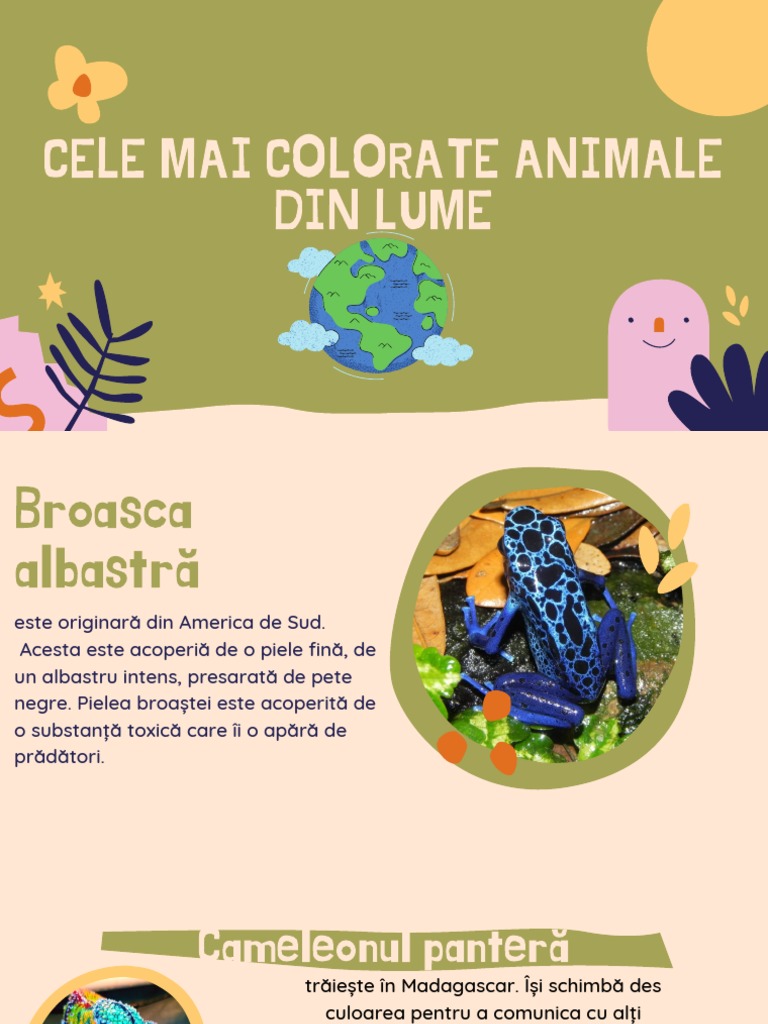 Cele Mai Colorate Animale Din Lume | PDF
