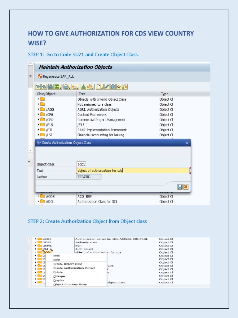 How To Secure CDS View Through DCL | PDF