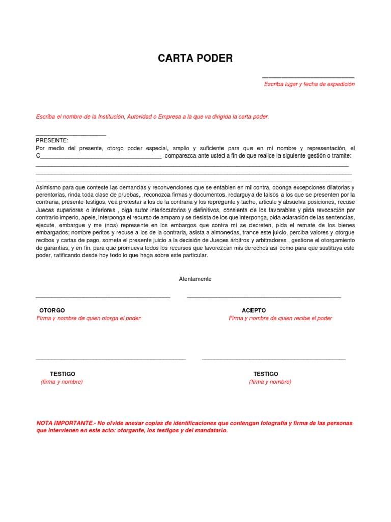 Formato de Carta Poder | PDF | Justicia | Crimen y violencia