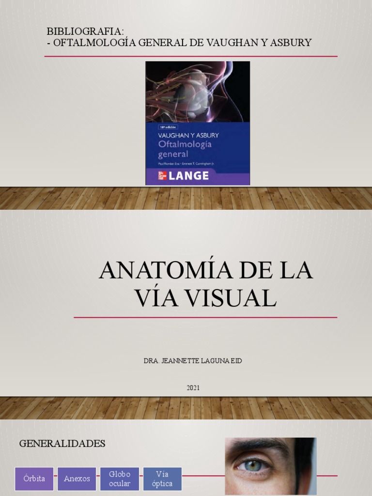 Anatomía y Embriología de La Vía Visual | PDF | Córnea | Ojo humano