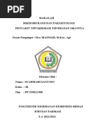 Makalah Sistem Kardiovaskuler | PDF