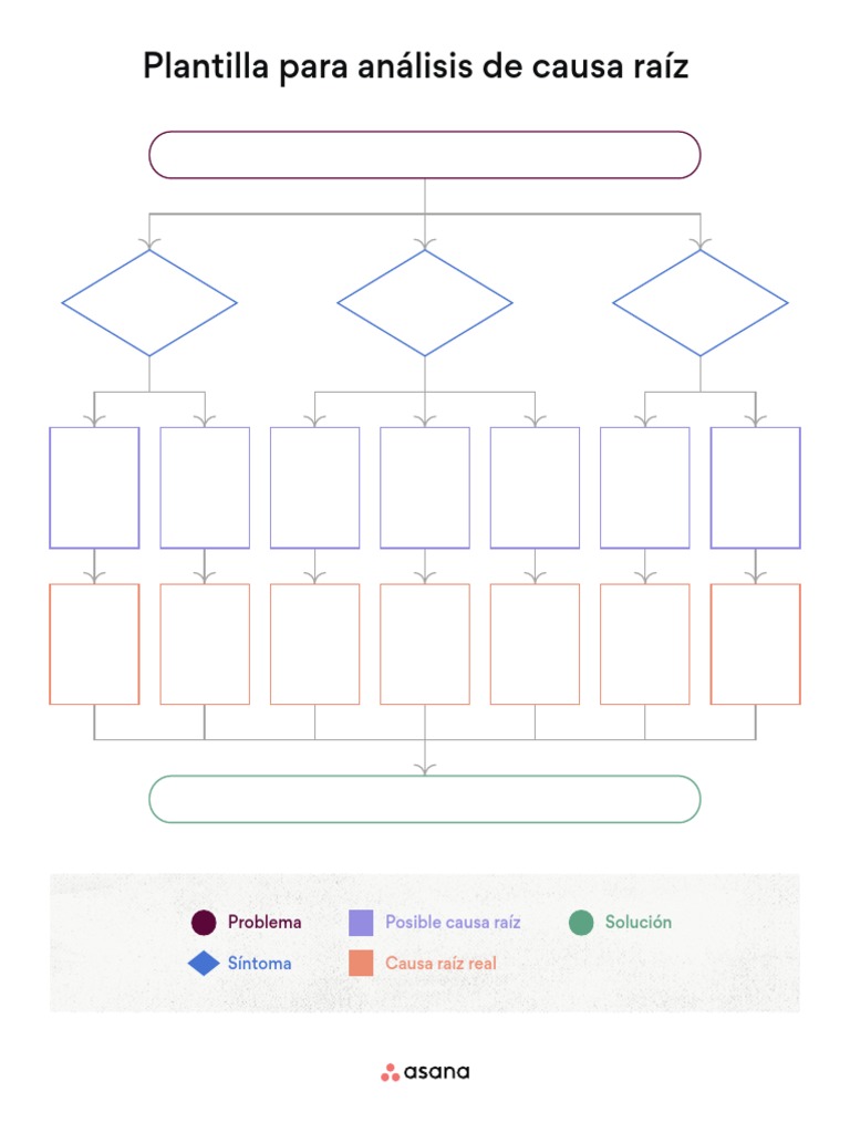 Analisis Causa Raiz | PDF