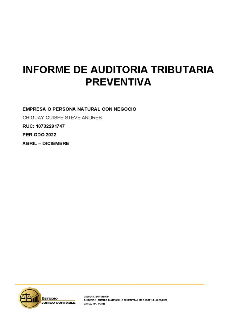 Informe de Auditoria Tributaria Preventiva 17 | PDF | Economias | Comercio