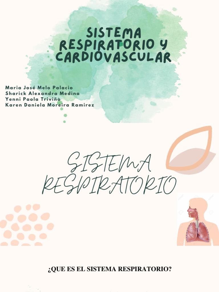 Sistema Respiratorio y Cardiovascular | PDF | Sistema circulatorio | Sistema respiratorio