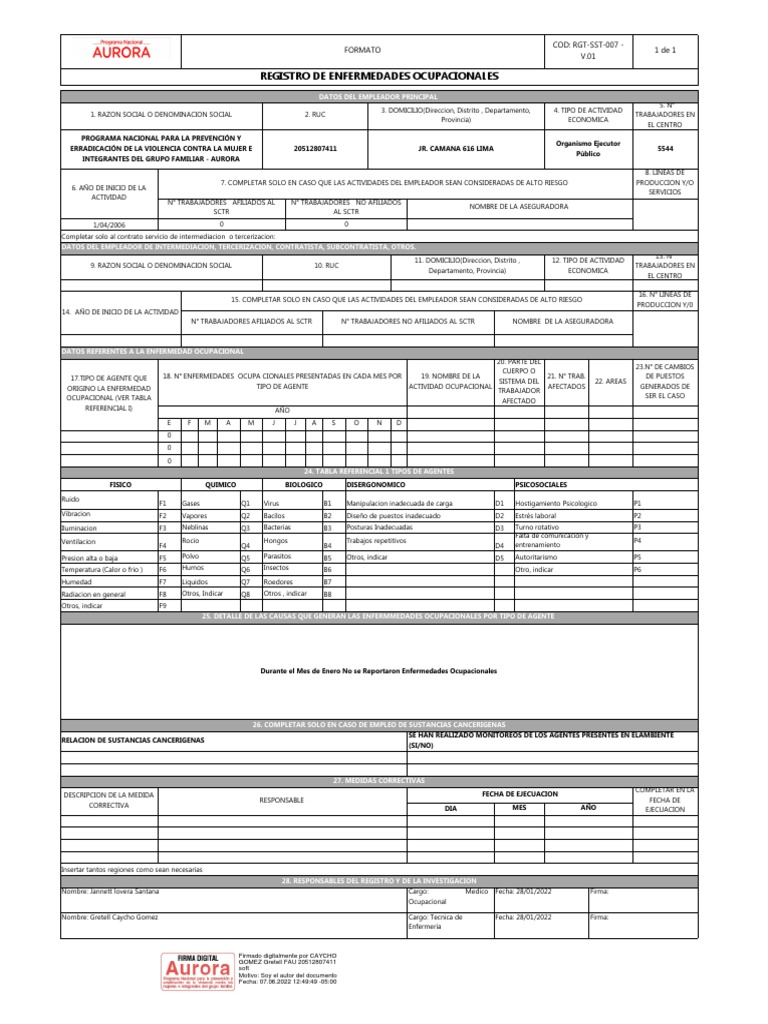 Registro de Enfermedades Ocup. Programa Aurora 2022 - EnERO (F) | PDF | Outsourcing | Ajedrez