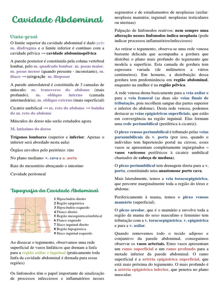 Cavidade Abdominal | PDF | Anatomia | Anatomia humana