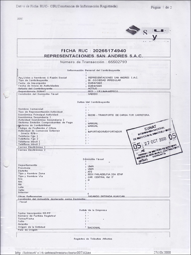 (Modelo) Ficha Ruc | PDF | Business | Industrias de servicio