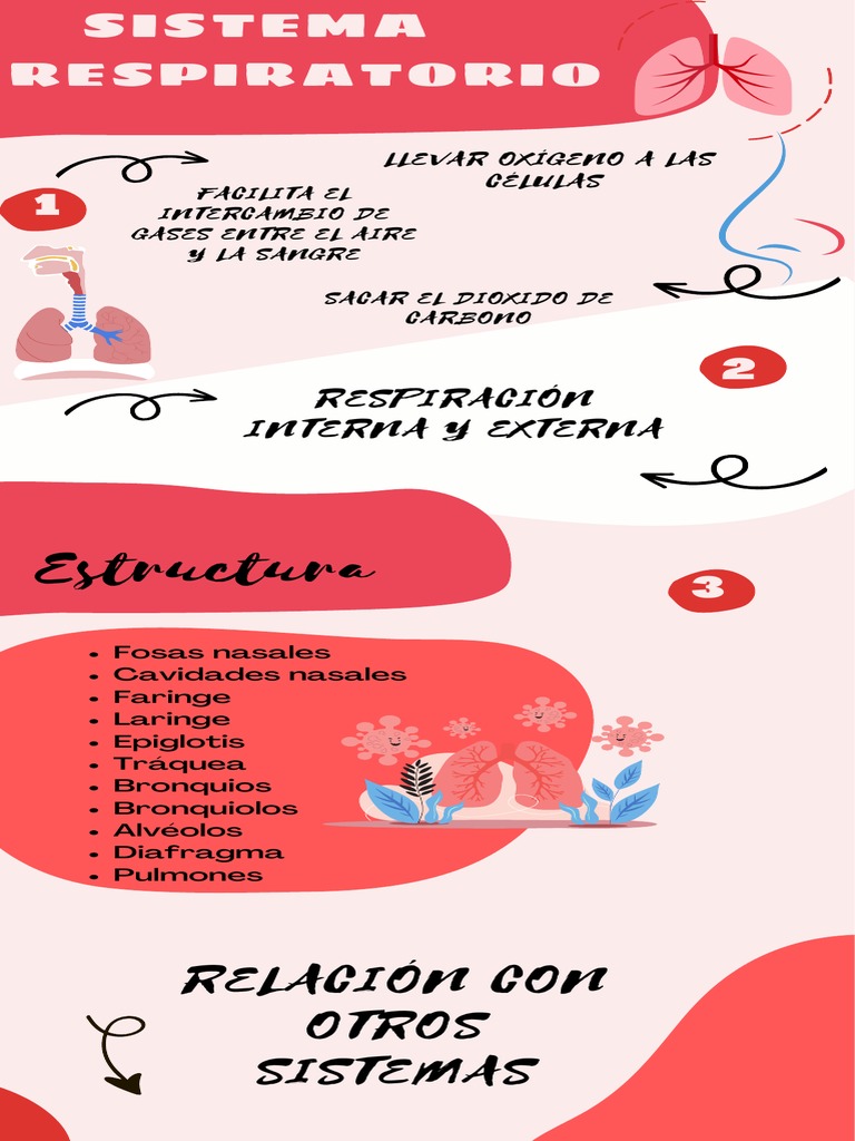 Infografía Sistema Respiratorio | PDF