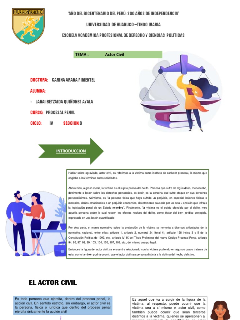 El actor civil en el proceso penal: concepto, características y ...
