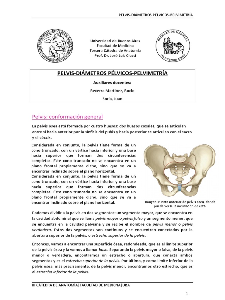 PELVIMETRÍA | PDF | Pelvis | Sistema musculoesquelético