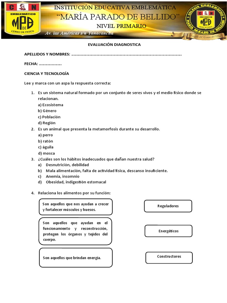 Evaluación Diagnóstica: Ciencia 6to Grado | PDF | Cocina