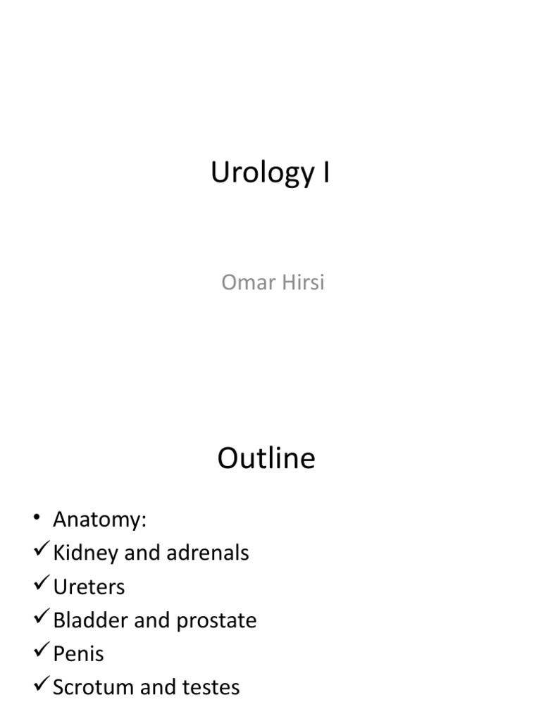 Urology I | PDF | Kidney | Urinary Bladder