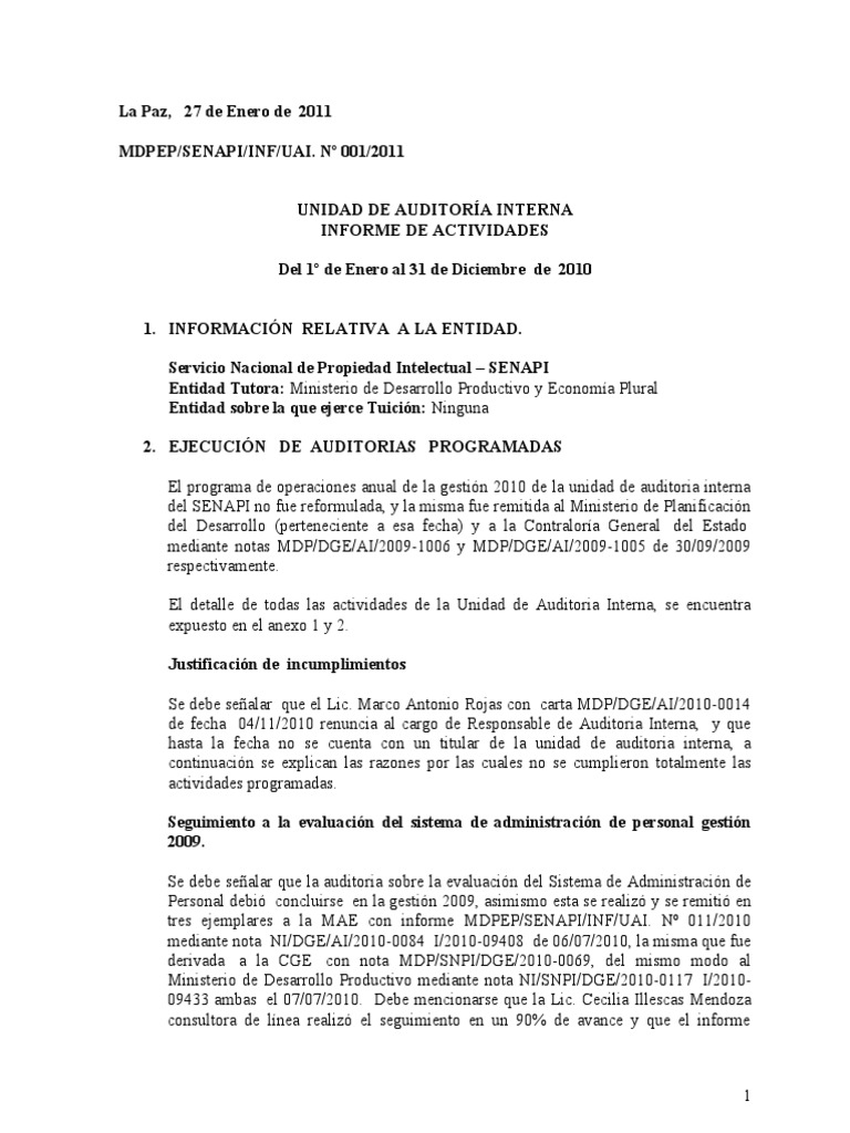 Informe Auditoría SENAPI 2010 | PDF | Auditoría | Servicios financieros