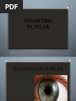 Tarea N1 - Pupilas | PDF | Especialidades Medicas | Enfermedades y ...