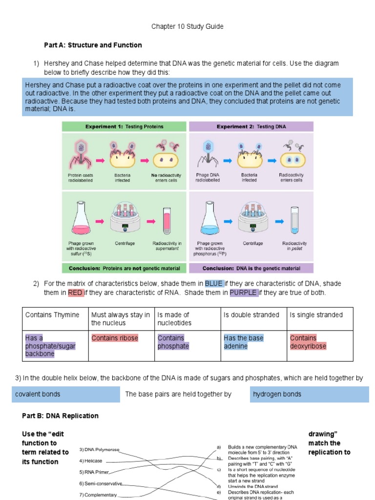 Eks Chapter 10 Study Guide | PDF