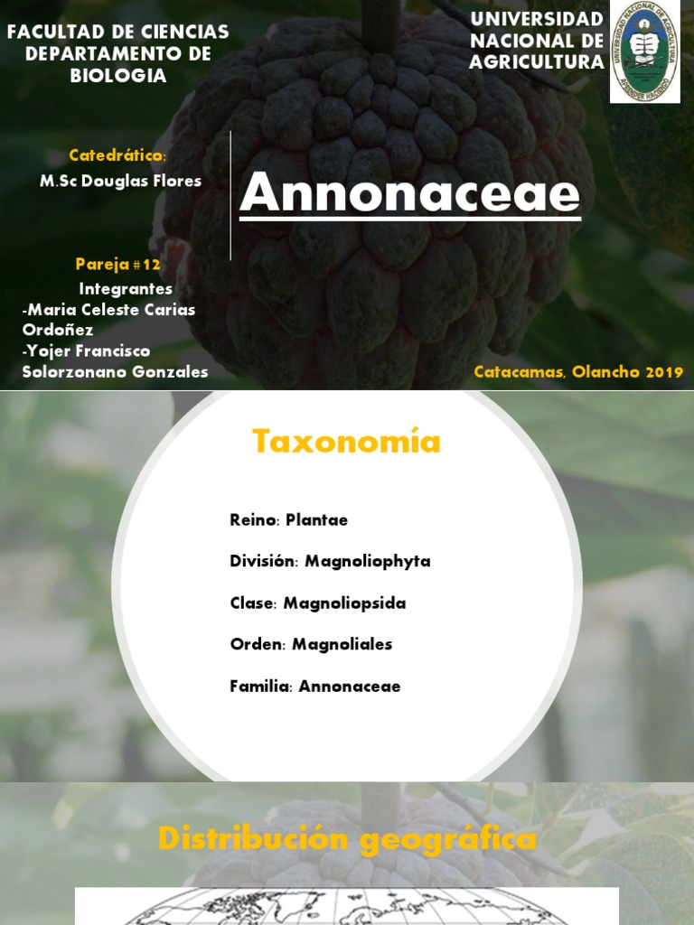 Annonaceae | PDF | Frutas comestibles | Cocina vegana