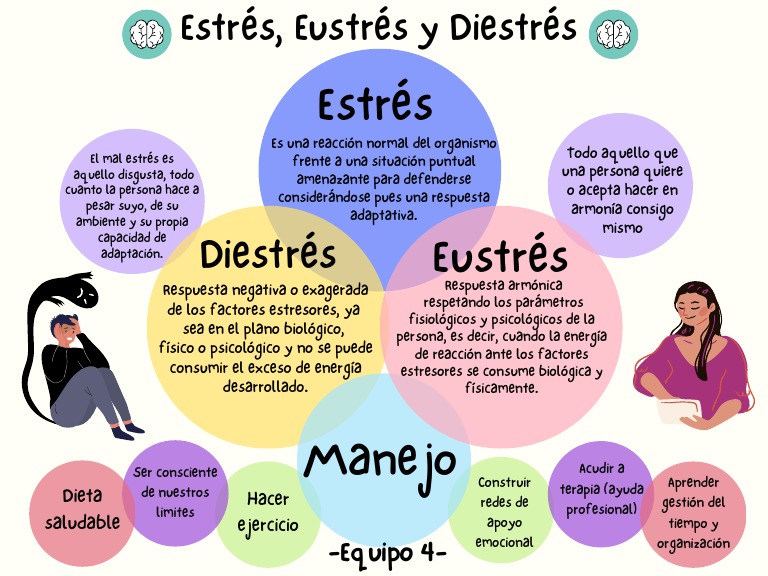 Los tres tipos de estrés: estrés, eustrés y diestrés | PDF