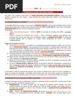 Gso 993 - Abate Halal | PDF | Matadouro