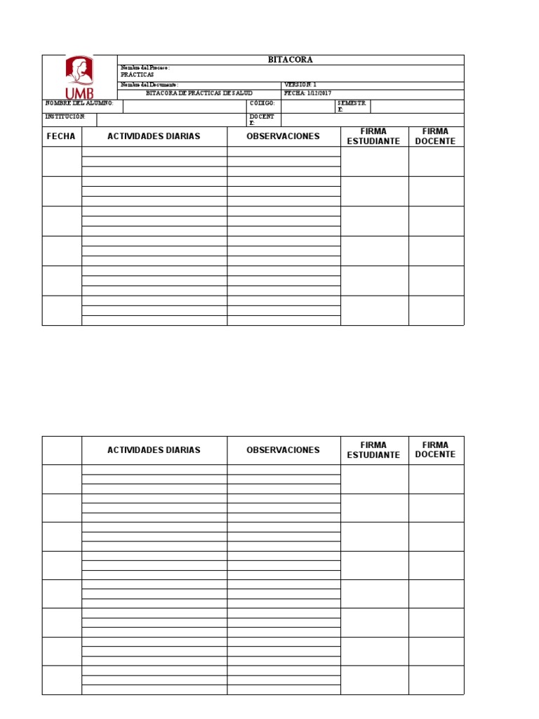 Formato Bitácora Diaria | PDF