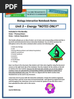 Food Chain Graphic Organizer | PDF | Foods