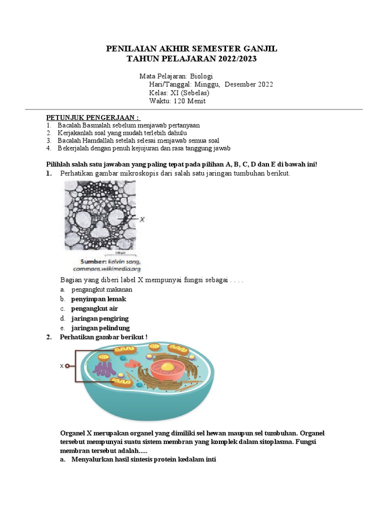 Soal Biologi Kelas XI 2022/2023 | PDF