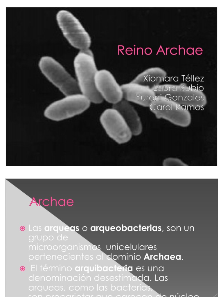 Características del Reino Arquea | PDF