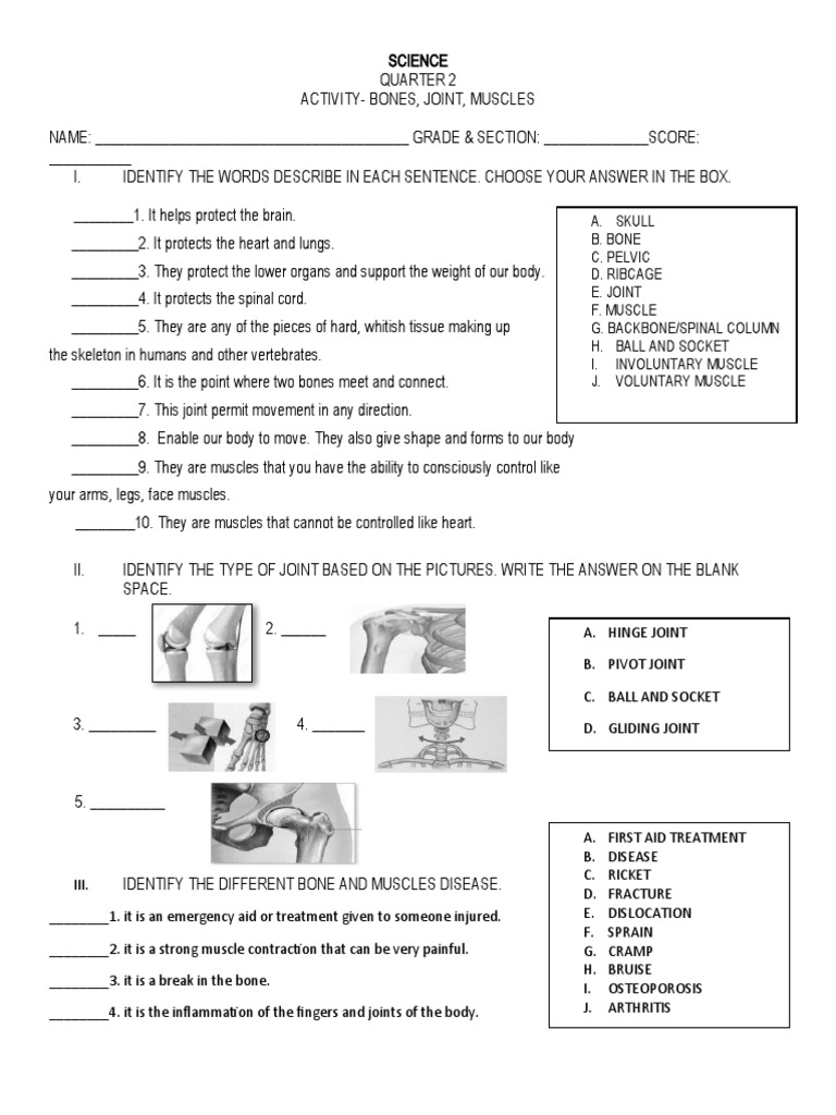 Q2-Activity in Science-Bones, Joint, Muscles | PDF | Bone | Vertebral Column