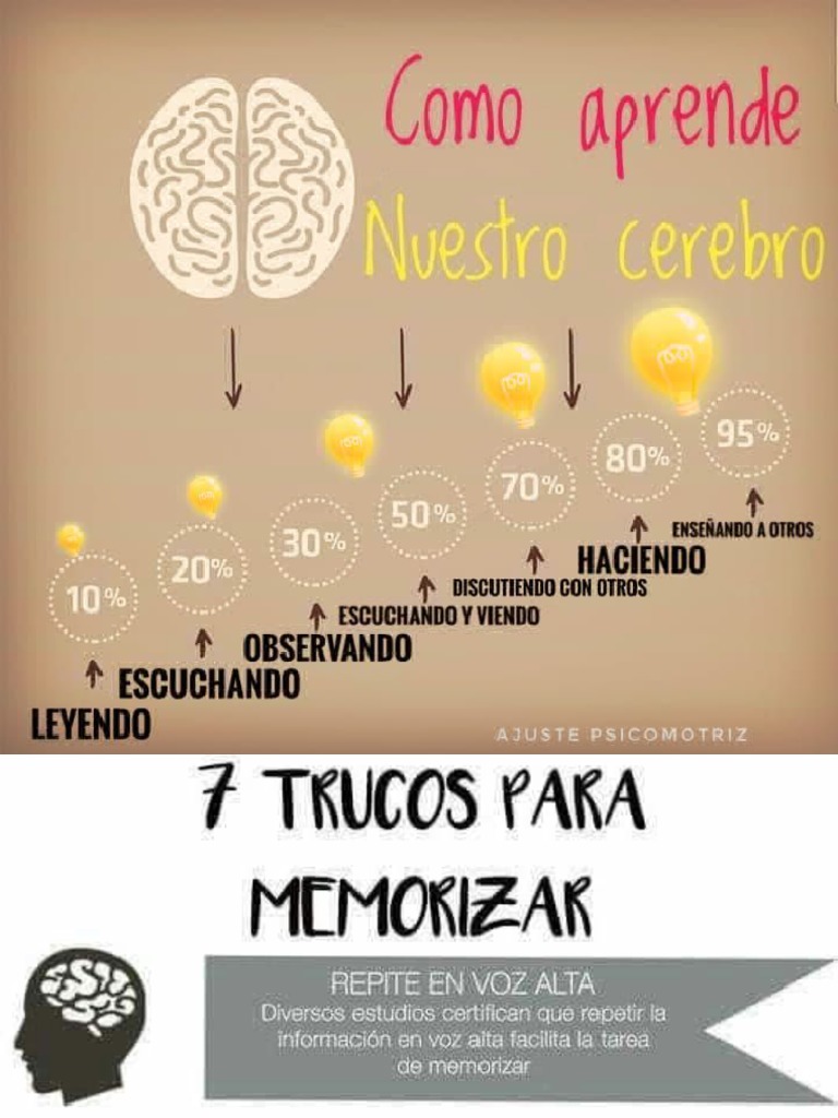 Como Aprende Nuestro Cerebro y 7 Trucos para Memorizar | PDF