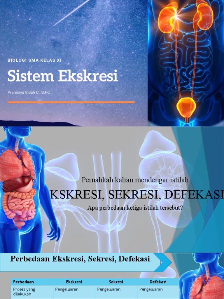 MEKANISME EKSKRESI DAN SEKRESI DALAM TUBUH | PDF