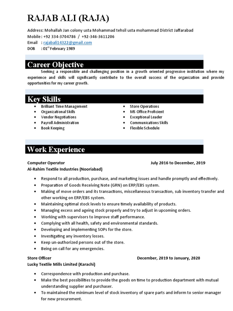 Rajab Ali's Professional Resume | PDF | Enterprise Resource Planning | Business