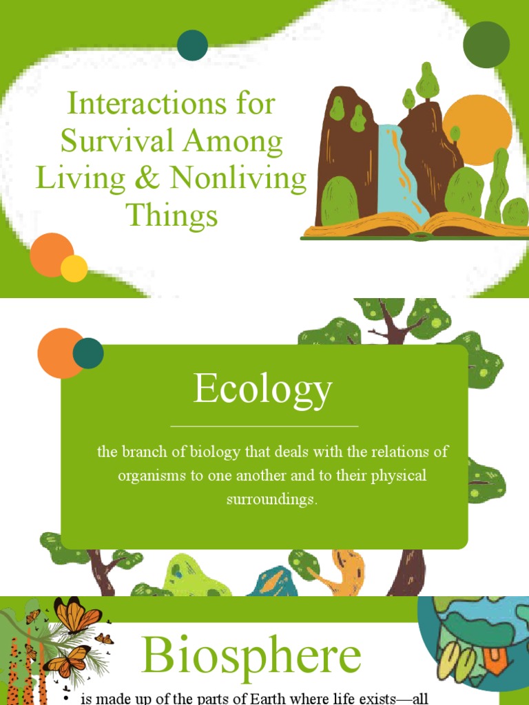 Living and Nonliving Interactions in Ecosystems | PDF