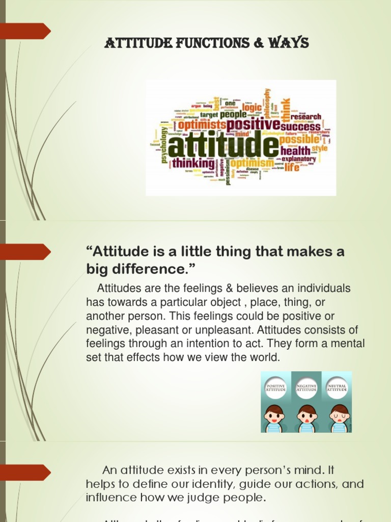 Attitude Function | PDF | Attitude (Psychology) | Id