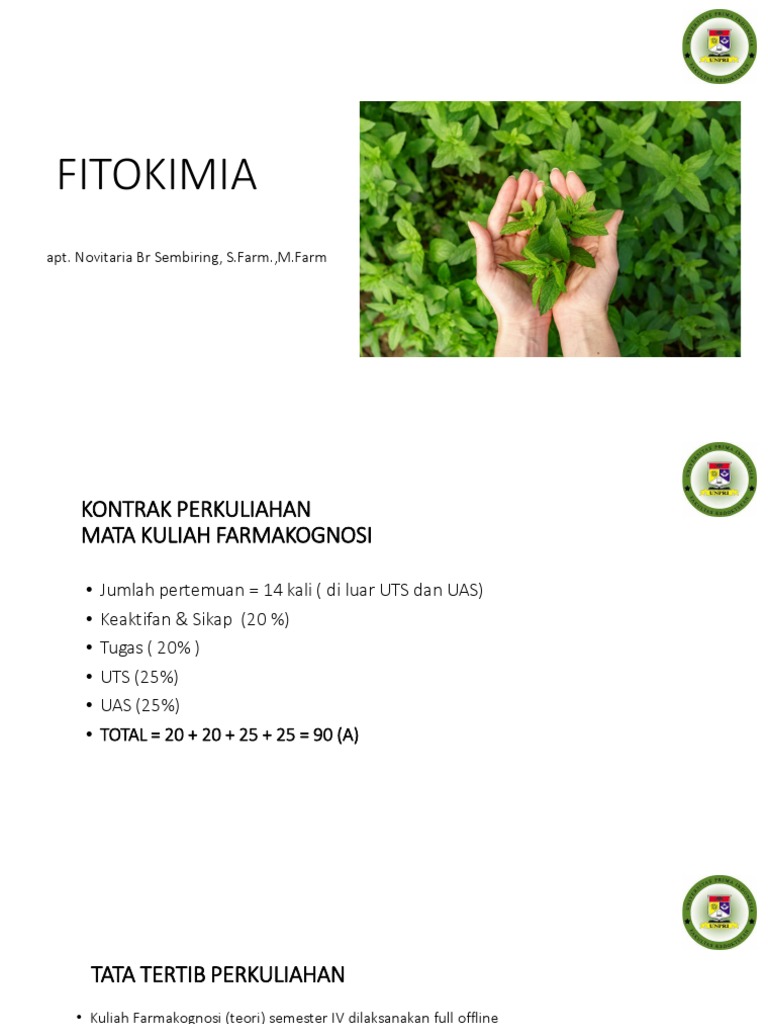 Fitokimia | PDF